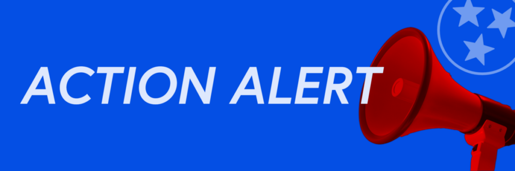 Action Alert: Red Flag Bill – Washington County Democratic Party